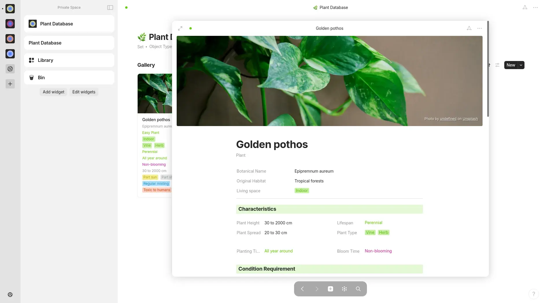 Obsidian Alternatives: We Tested the 6 Best Apps